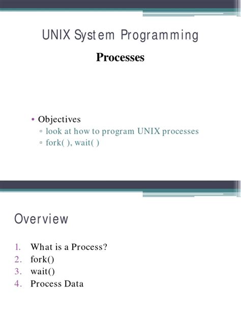 unix system programming processes pdf process computing