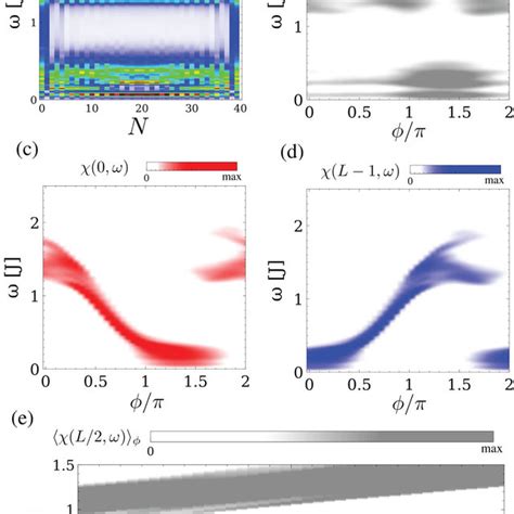 A Dynamical Structure Factor In The Different Sites Of The Chain For