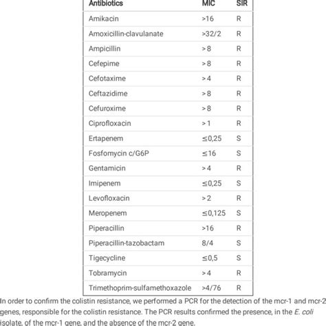 Mic Breakpoints For Pseudomonas Aeruginosa According To Eucast And Clsi