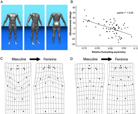 stimuli symmetry attractiveness plot and cartesian transformations of