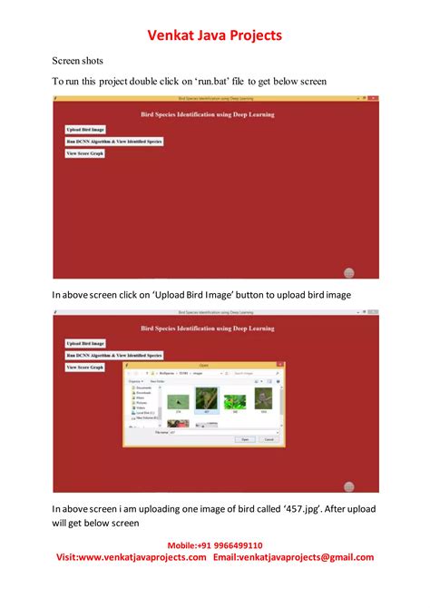 Bird Species Identification Using Deep Learning DOCX Birdwatching Hobbies Interests