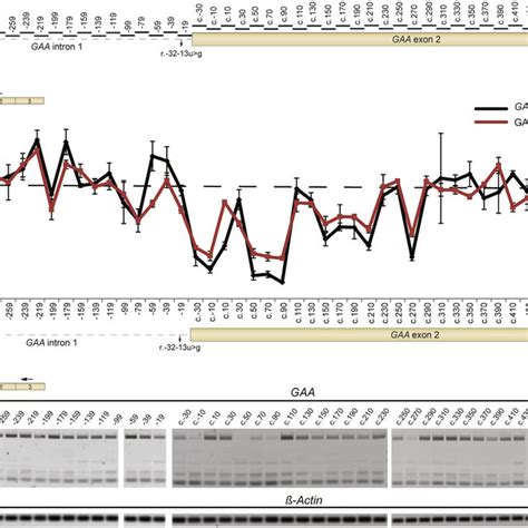 In Silico Prediction To Identify Splicing Regulatory Elements Download Scientific Diagram