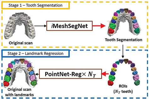 Two Stage Mesh Deep Learning For Automated Tooth Segmentation And Landmark Localization On 3d