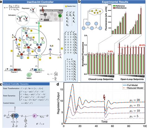 Inactive Intein Controller Theoretical And Experimental Analysis A A