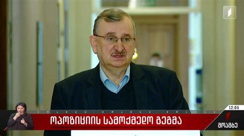 ოპოზიციის სამოქმედო გეგმა Youtube