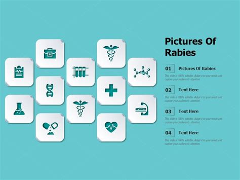 Pictures Of Rabies Ppt Powerpoint Presentation Slides Background Designs Presentation Graphics