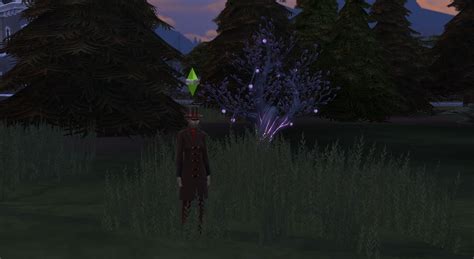 How To Protect Vampires From Sunlight In The Sims 4