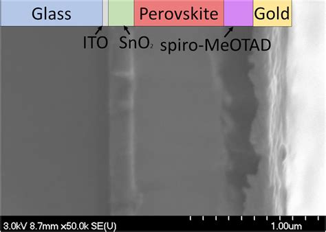 Cross‐sectional Sem Of Perovskite Solar Cell With Solution‐sheared