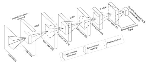 SpykeTorch Efficient Simulation Of Convolutional Spiking Neural Networks With At Most One Spike