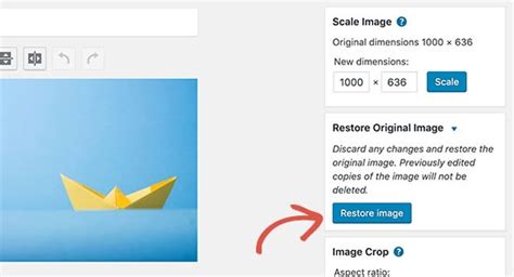 How To Do Basic Image Editing In Wordpress Crop Rotate Scale Flip