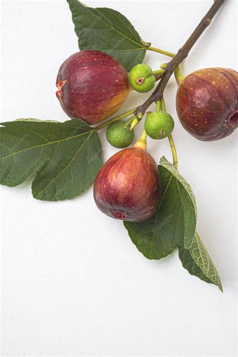 Premium Photo Healthy And Fresh Delicious Fruit Fig