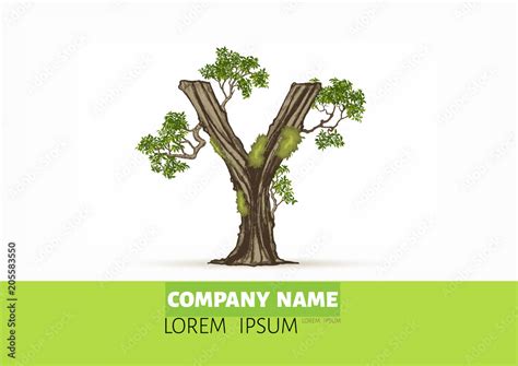 Tree Font Twisted Tree In The Shape Of Letter Letter A B C Vector Alphabet With Tree ABC