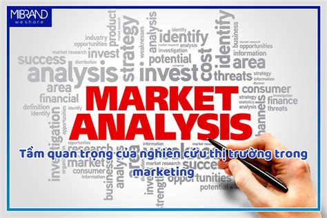 Tầm quan trọng của nghiên cứu thị trường trong marketing Mibrand