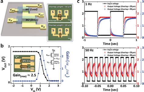 Demonstrated Inverter Circuit Based On The Coplanar A‐ingazno Tfts A Download Scientific