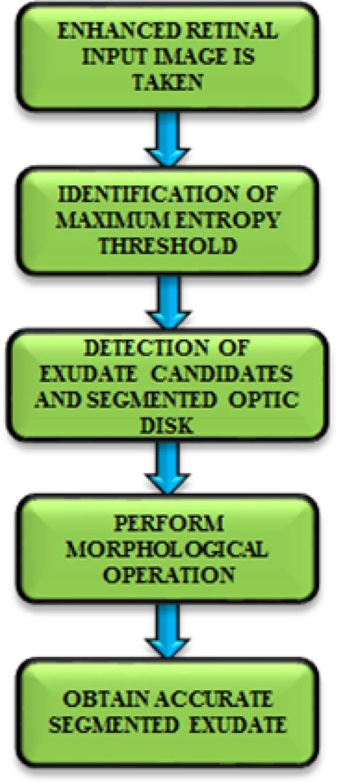 Flowchart Of Exudate Segmentation Download Scientific Diagram