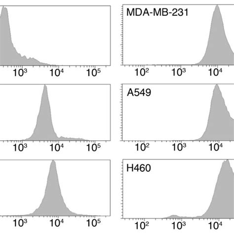 Measurement Of Glucose Uptake By Flow Cytometry Representative