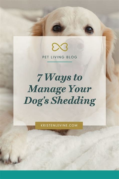 7 Ways To Manage Your Dog S Uncontrollable Shedding Artofit