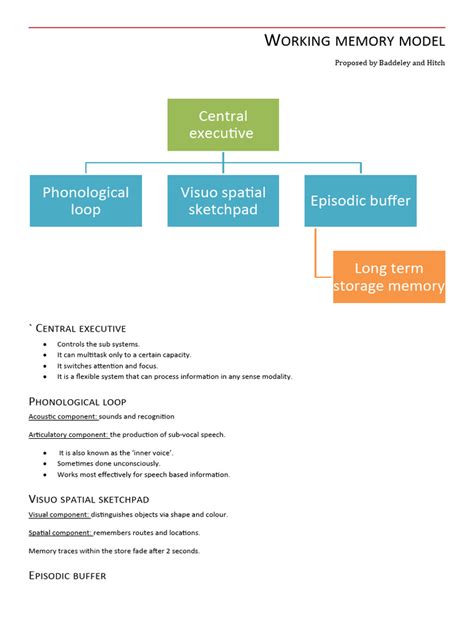 Working Memory Model Pdf Neuroscience Cognitive Science