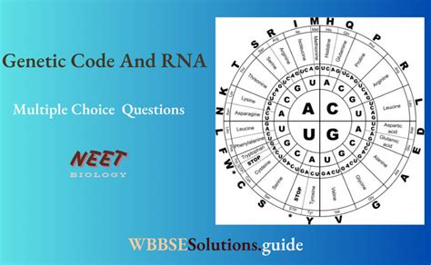 Neet Biology Genetic Code And Rna Multiple Choice Question And Answers Wbbse Solutions