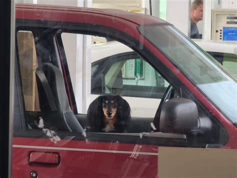 Gas Station Peep 2 Scrolller