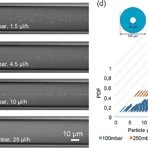 viscoelastic particle focusing experiment for human metaphase human