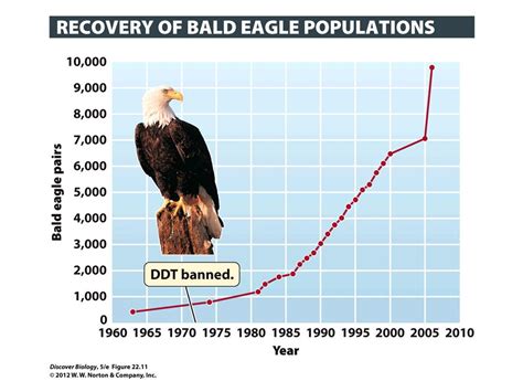 Log Into Pal Have You Taken The Latest Quiz Ppt Video Online Download