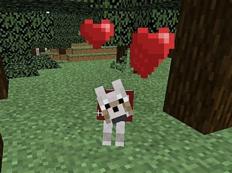 How To Make Rabbit Stew In Minecraft