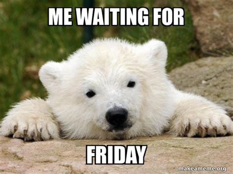 Me Waiting For Friday Popular Opinion Bear Meme Generator