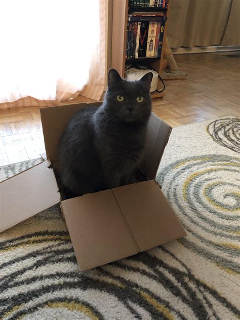 My Precious Scrolller