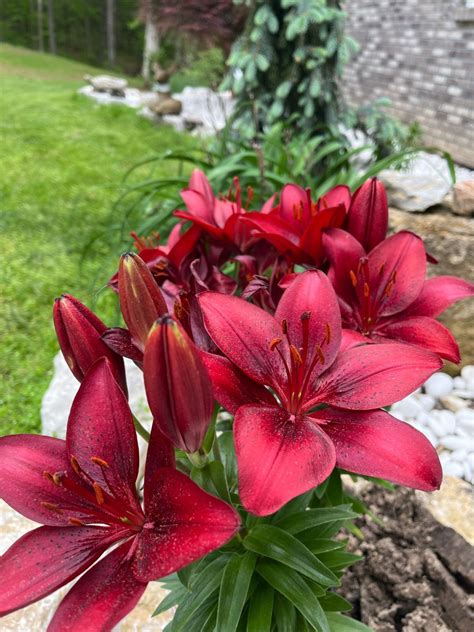 Tim Cullinane On Linkedin Never Forget To Smell The Flowers