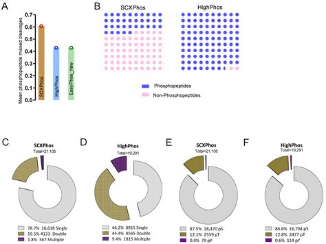 Phosphoproteomics Sample Preparation Impacts Biological Interpretation