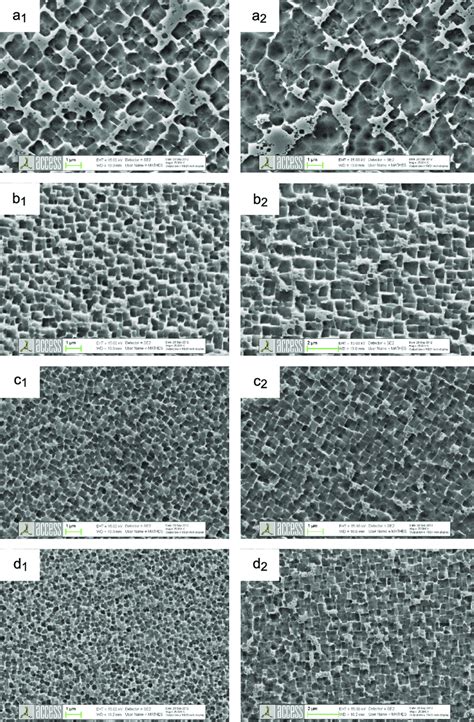 The Typical Morphologies Of γ′ Phase In The Dendritic Cores Left