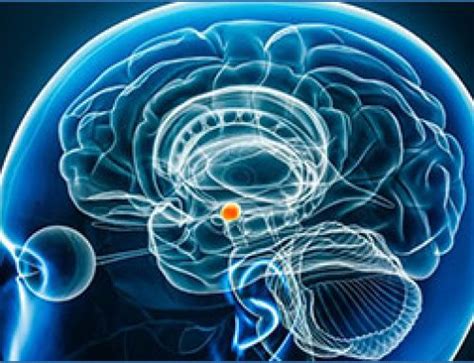 Scdist Robust Identification Of Perturbed Cell Types In Single Cell Rna Seq Data Rna Seq Blog
