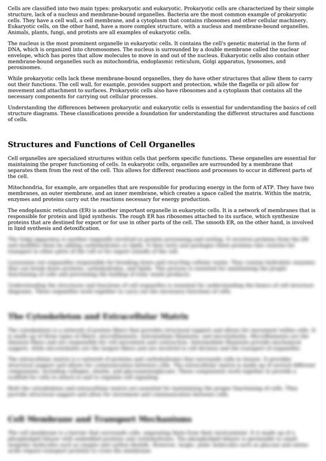 Solution The Abcs Of Cell Anatomy Understanding The Basics Of Cell