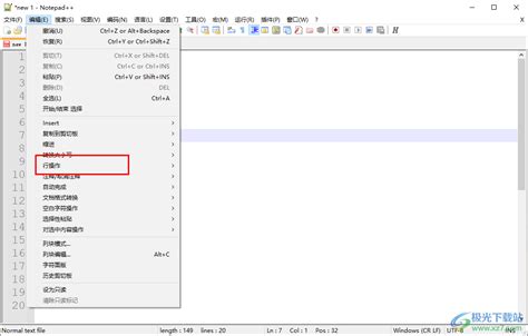 Notepad怎么删除空行？ Notepad清除空白行的方法 极光下载站