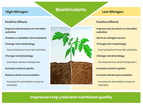 Can Plant Biostimulants Promote Nitrogen Reduction Maxstim