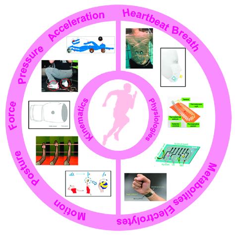 The Main Concerns Of This Paper The Monitored Indicators And Available