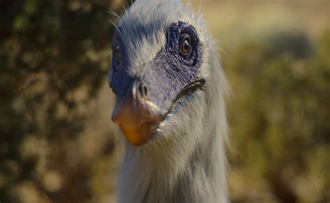 Arkansaurus Life On Our Planet Wiki Fandom