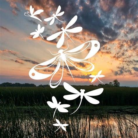 Holographic Dragonfly Swarm Vinyl Decal Opal Or Luster Swarm Of Flying