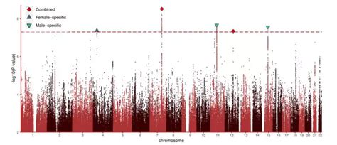 “同性恋基因”是否存在？50万人新研究给出回答 知乎