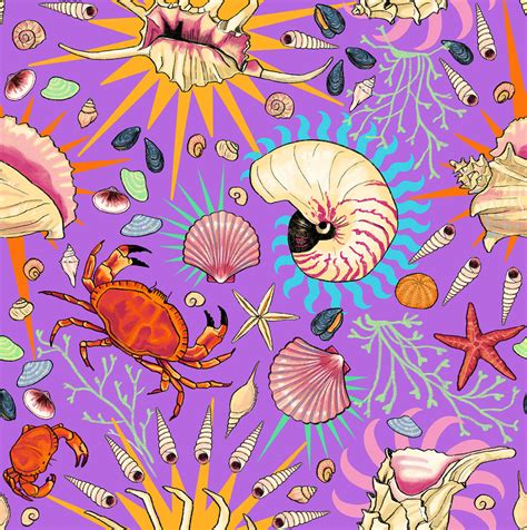 30 Best Shell Illustration Ideas You Should Check