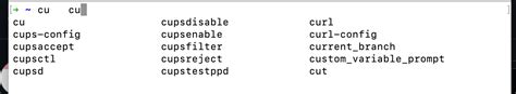 autocomplete problem · issue 45 · dracula zsh · github