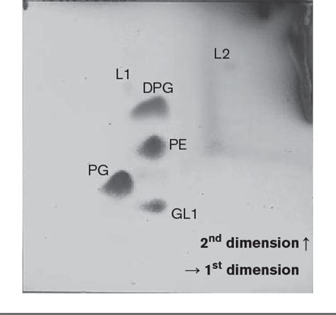 Table 1 From Bacillus Cucumis Sp Nov Isolated From The Rhizosphere Of Cucumber Cucumis