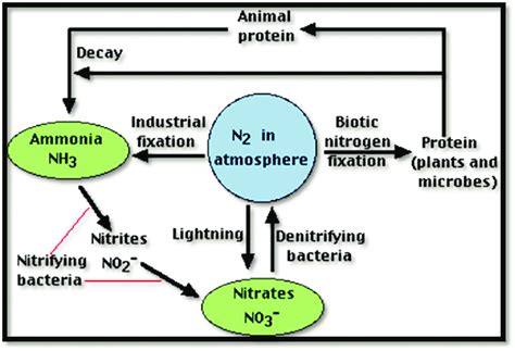 Nitrogen Dynamics In Atmosphere Sardar Et Al 2023 Download