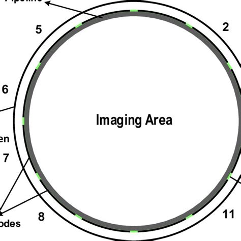 Ect Sensor With 12 Electrodes Download Scientific Diagram Ect Sensor With 12 Electrodes Download Scientific Diagram