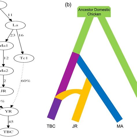 Positive Selection Scans For Adaptation To High Altitude Red Line Download Scientific Diagram