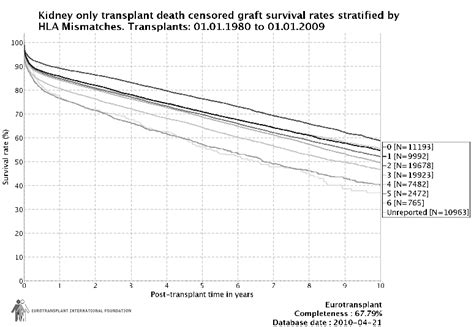 4 The Influence Of Hla Matching On Graft Survival Within Download Scientific Diagram