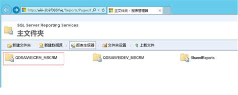dynamics crm 报表开发 csdn博客