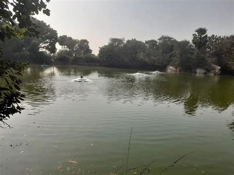 Diffused Aerations High Speed Surface Aerator For Lake At ₹ 400000 Piece Imran Nagar Valsad