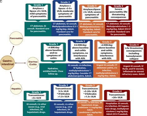 Grading And Management Of Immune‐related Adverse Effects In Emergency Download Scientific
